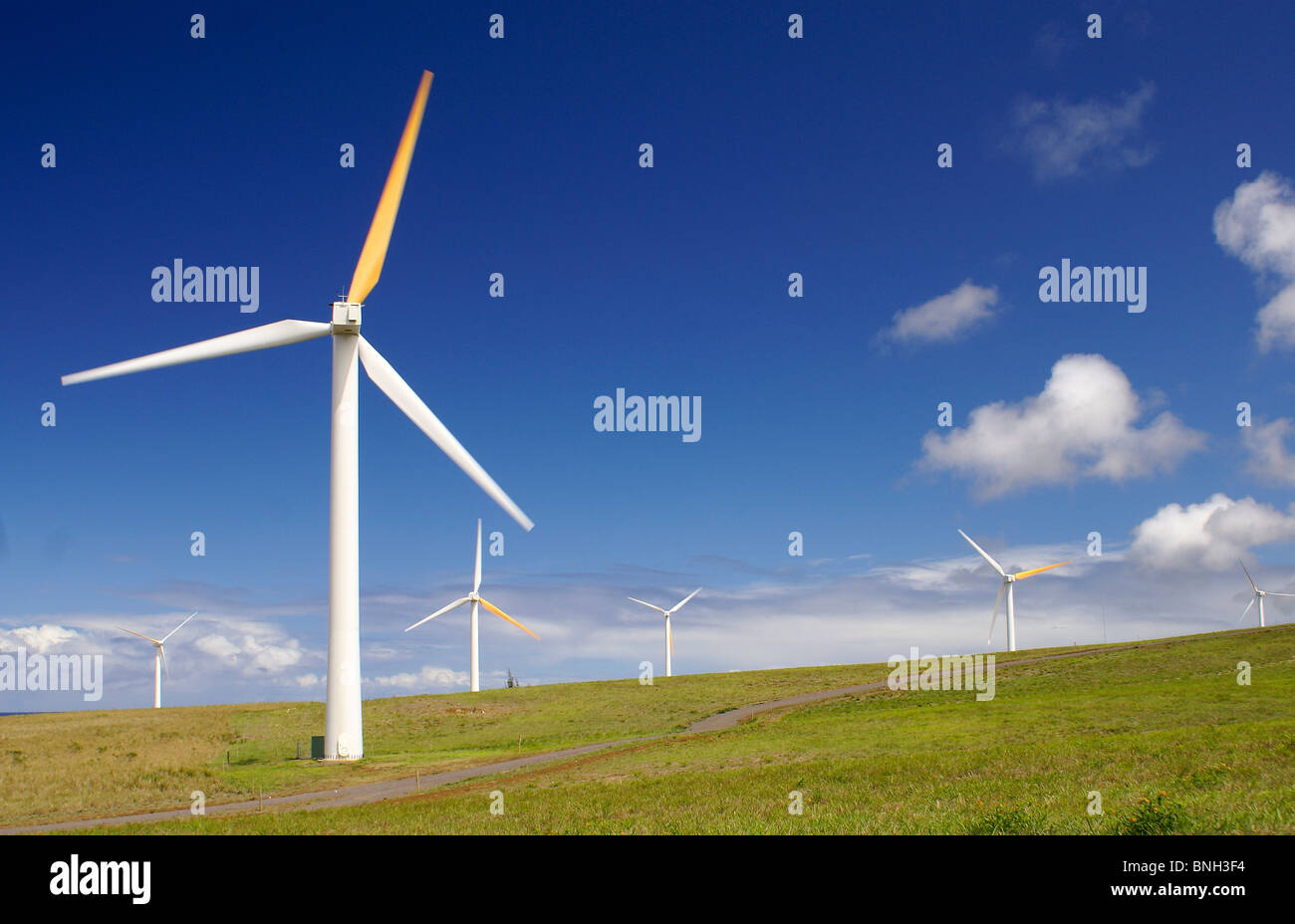 Wind powered electric generators on the North coast of The Big Island ...