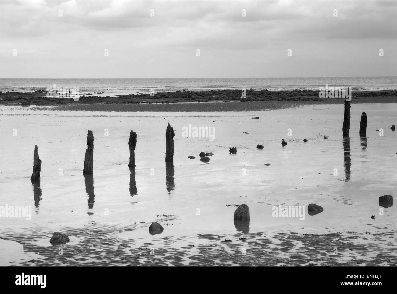 Old beach groynes hi-res stock photography and images - Alamy