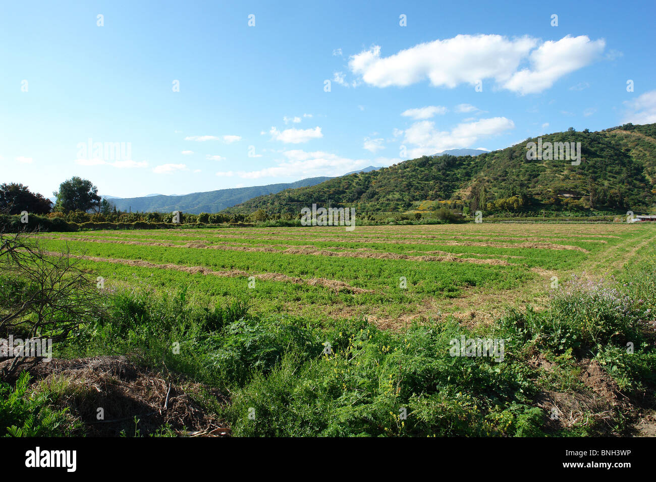 Farm landscape, small valley in the city of Santiago, chili Stock Photo ...