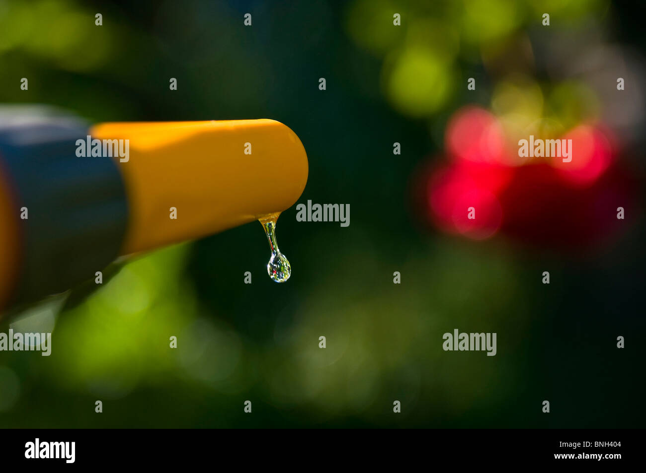 Drip hose hi-res stock photography and images - Alamy
