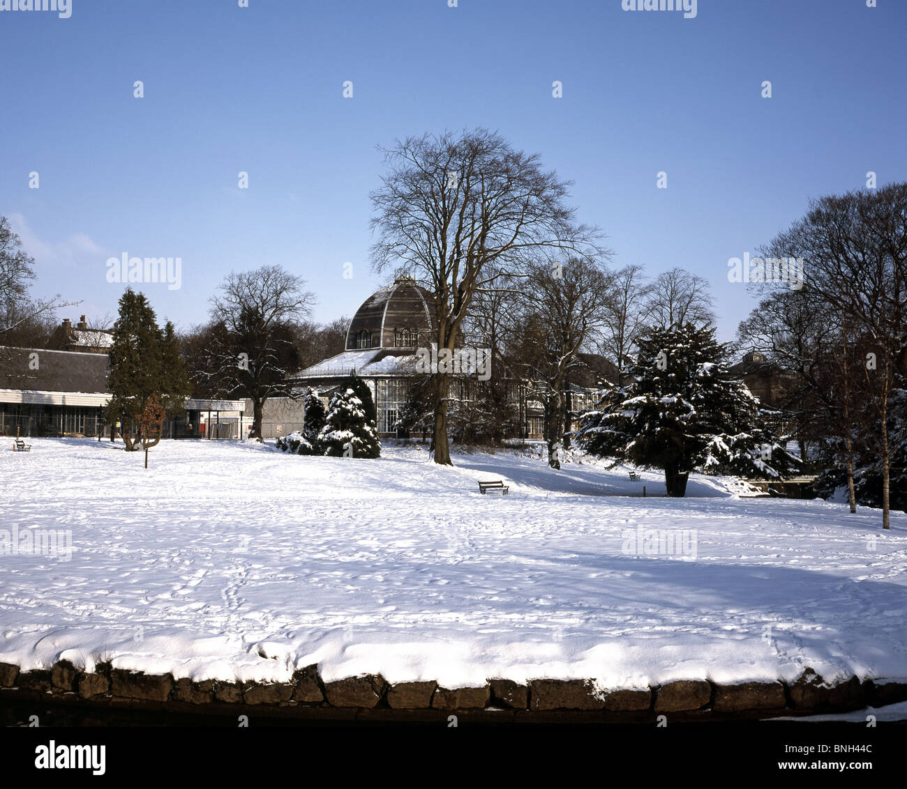 Buxton Pavilion in the snow winter Derbyshire England Stock Photo - Alamy