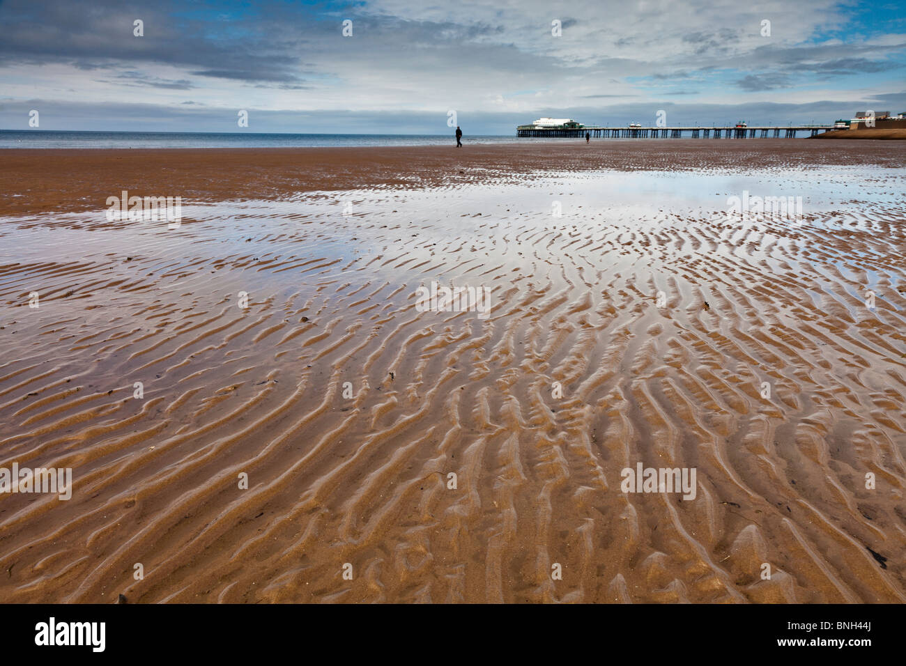 Ripples in the wet sand of the beach at low tide Stock Photo - Alamy