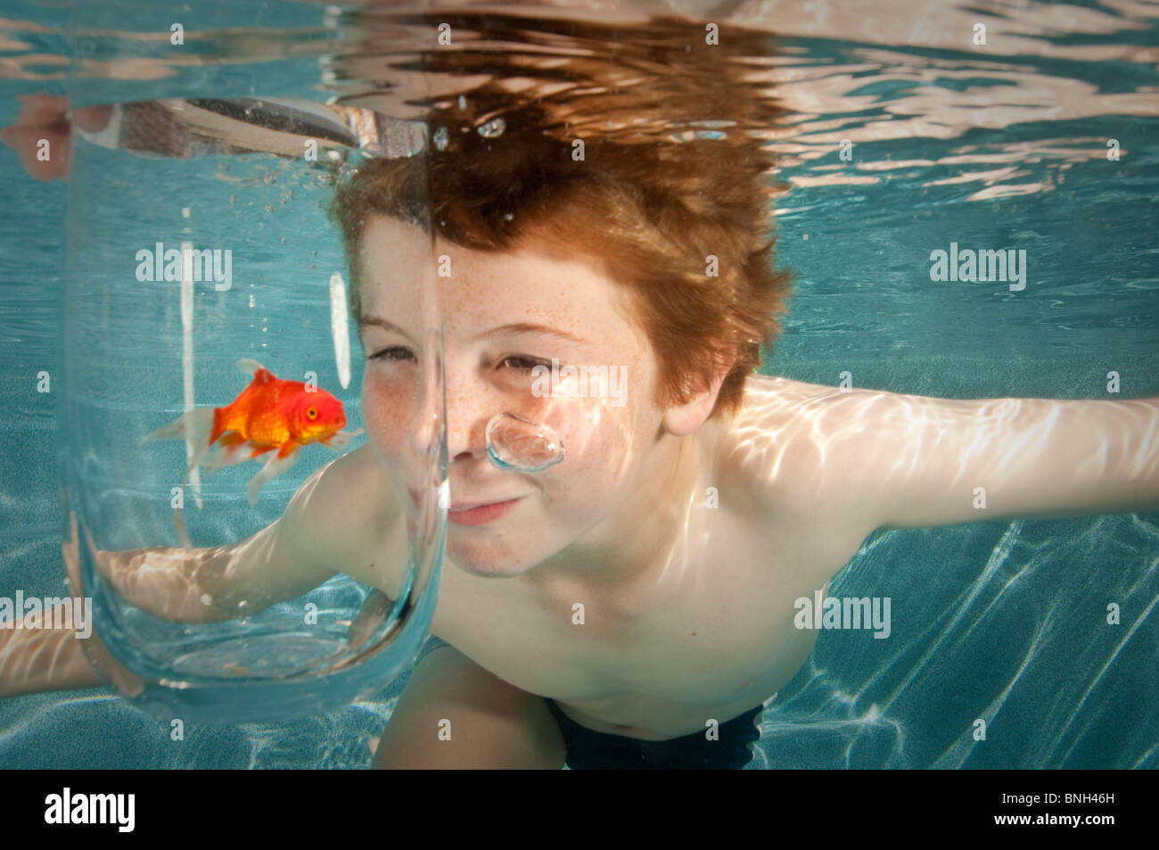 Goldfish in my swimming pool hi-res stock photography and images - Alamy