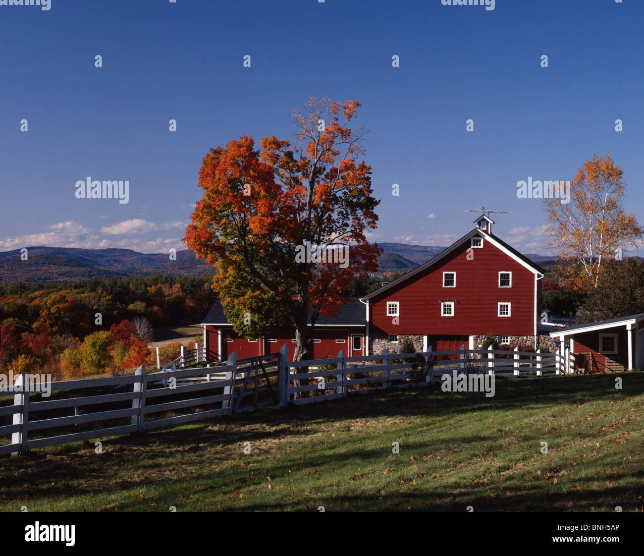 Scenic Farm in Autumn, NH Stock Photo - Alamy