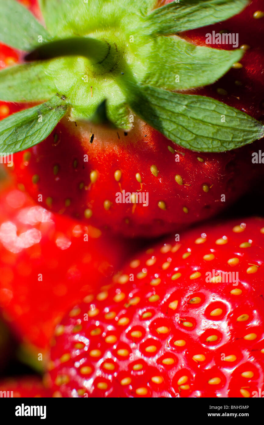 British seasonal fruit hi-res stock photography and images - Alamy