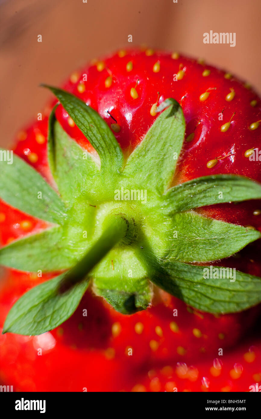 Fresh British Strawberries Stock Photo - Alamy