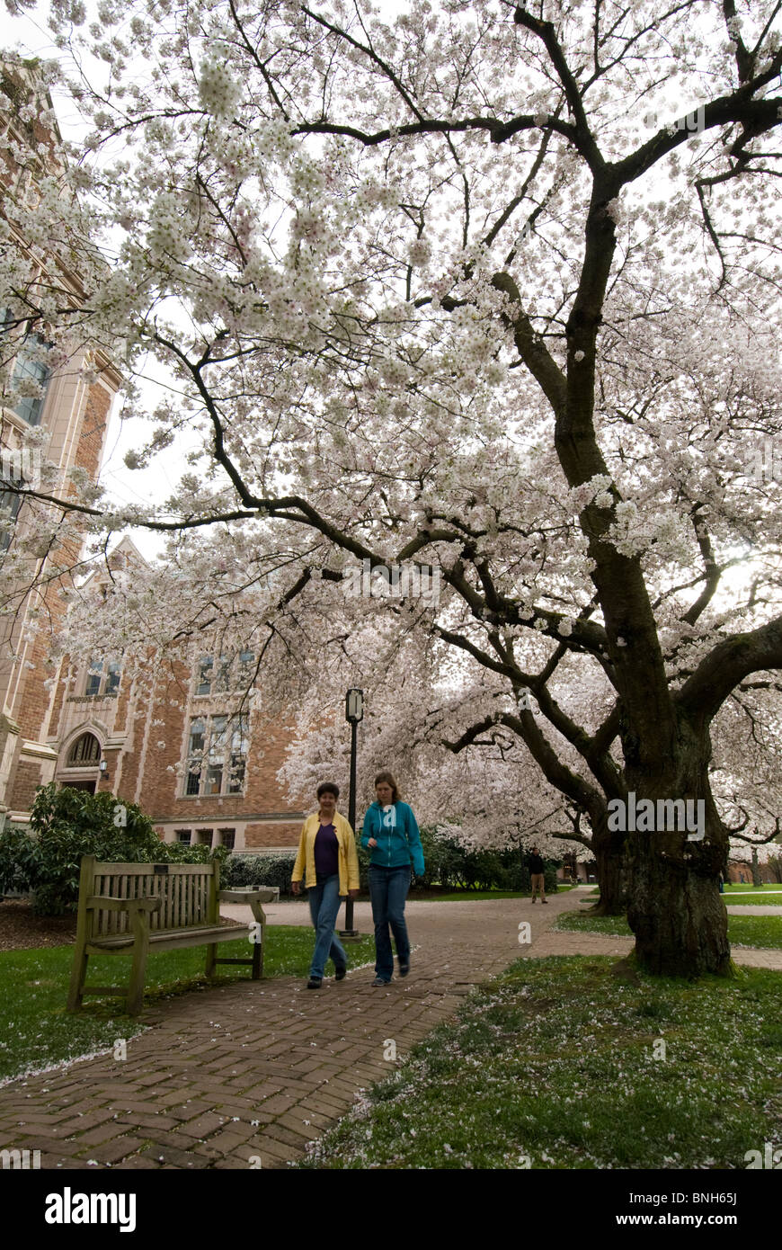Two women walking through the University of Washington's Quad and its ...