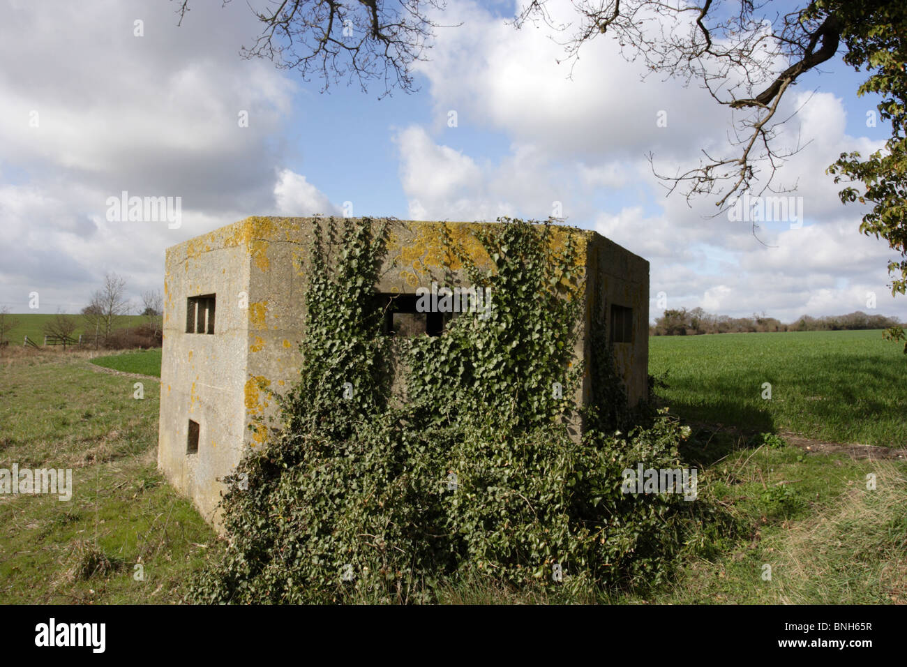 War bunker during ww2 near tree hi-res stock photography and images - Alamy