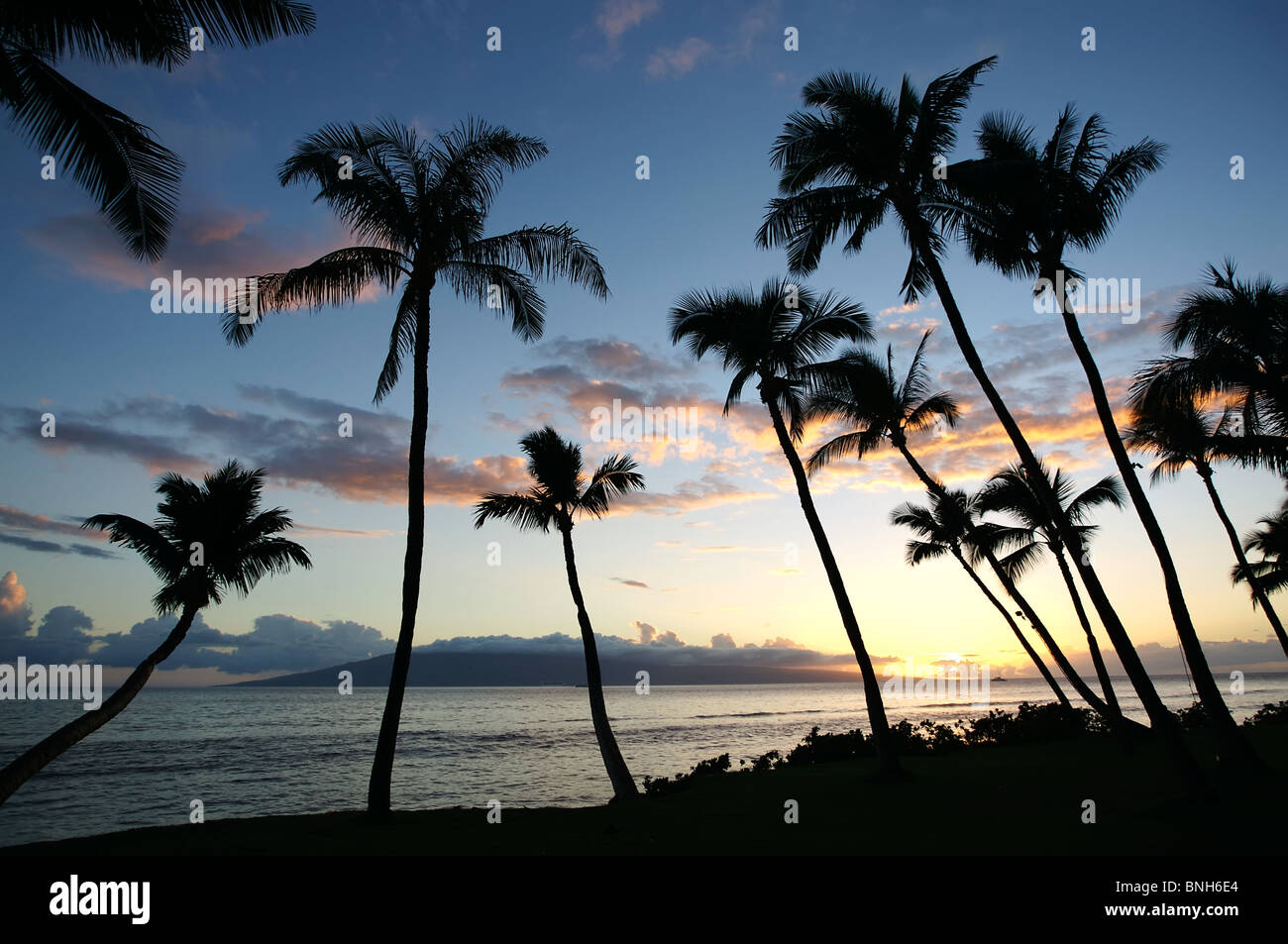 Maui paradise tropical sunset hi-res stock photography and images - Alamy