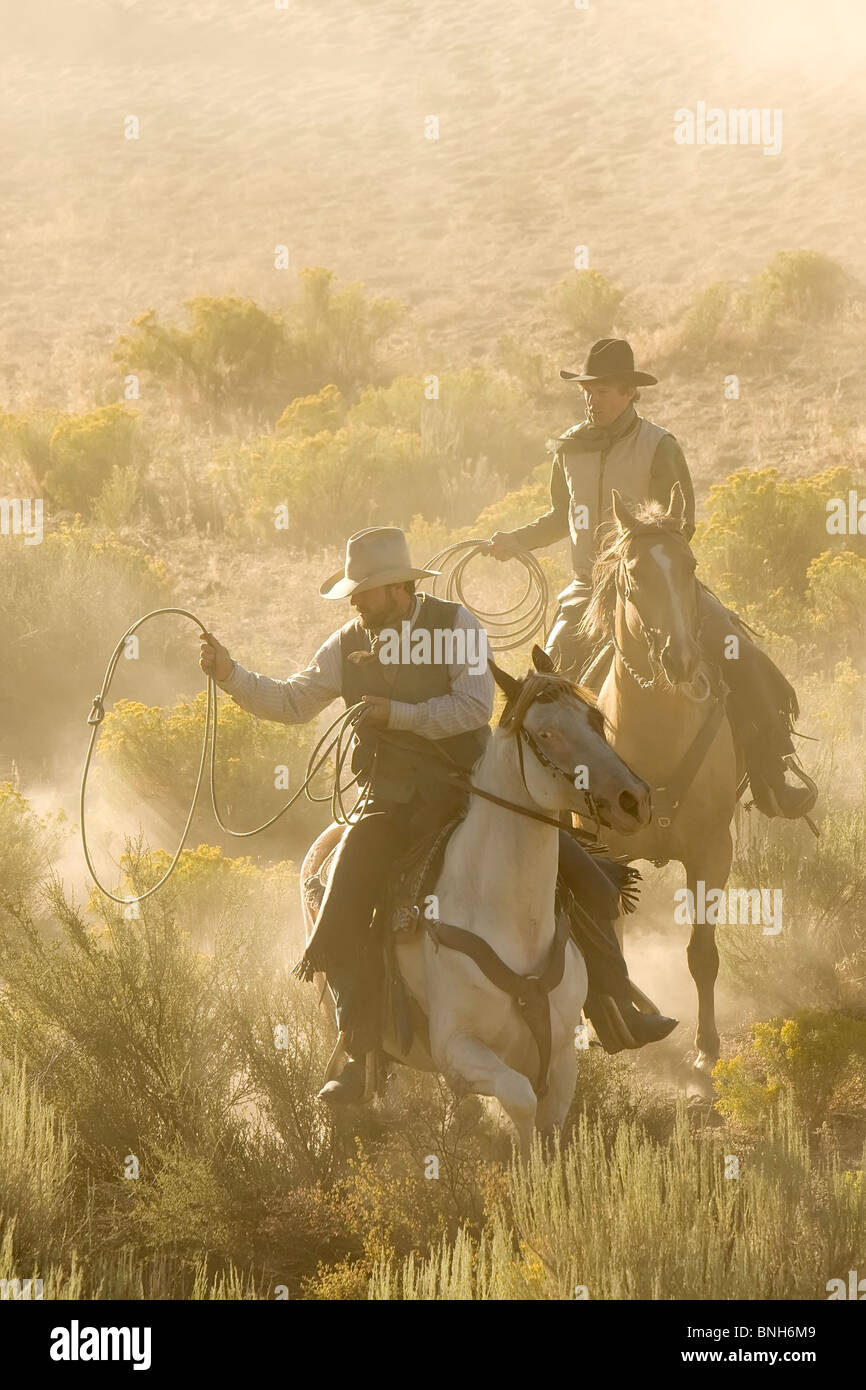 Two cowboys riding horses hi-res stock photography and images - Alamy