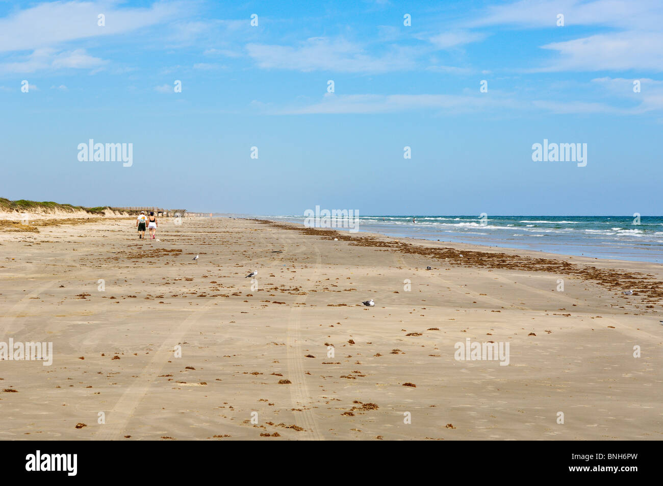 Texas, Padre Island. Padre Island National Seashore Stock Photo - Alamy