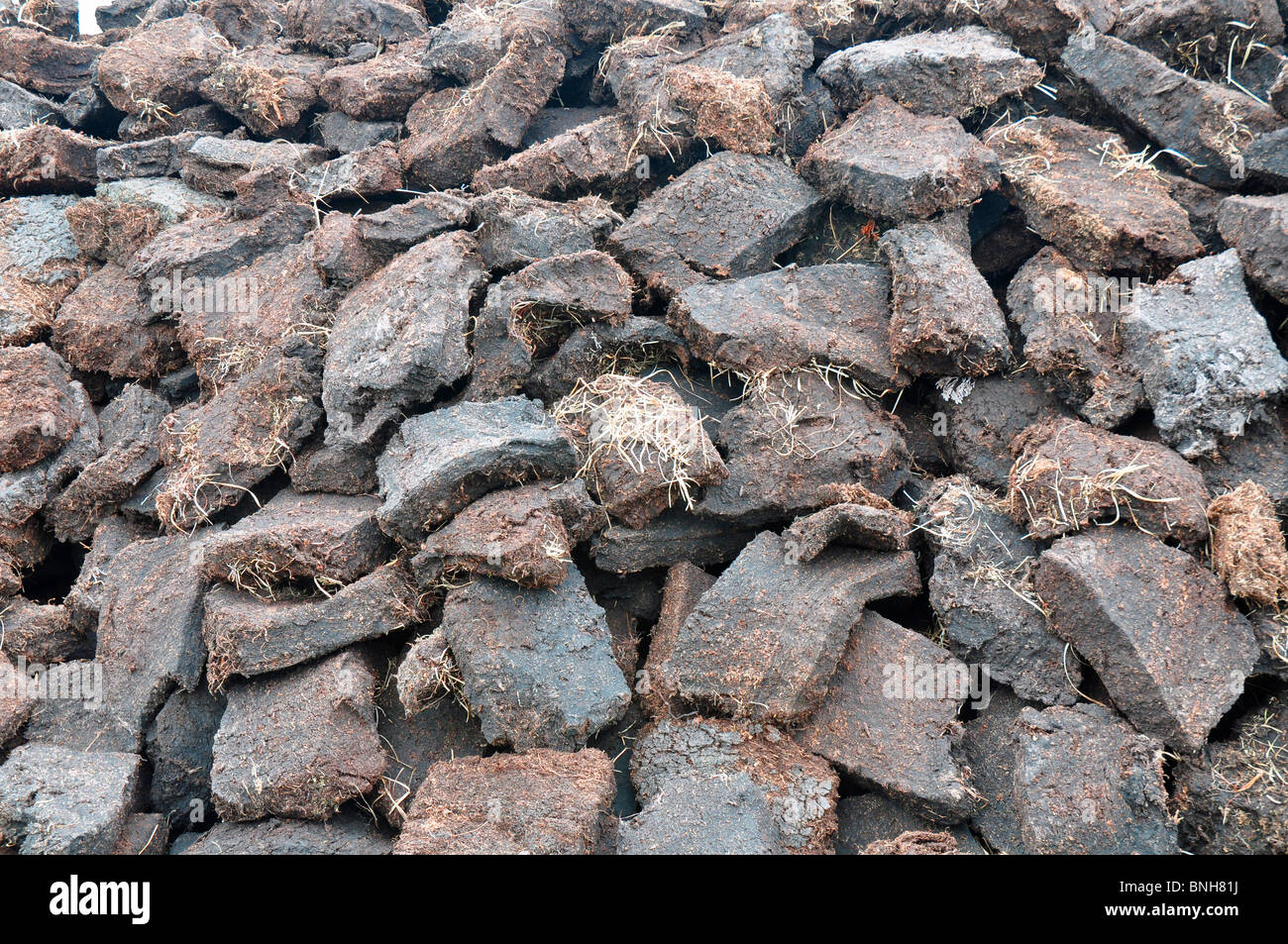 Isle of Lewis, Outer Hebrides: peat drying in the sun Stock Photo - Alamy