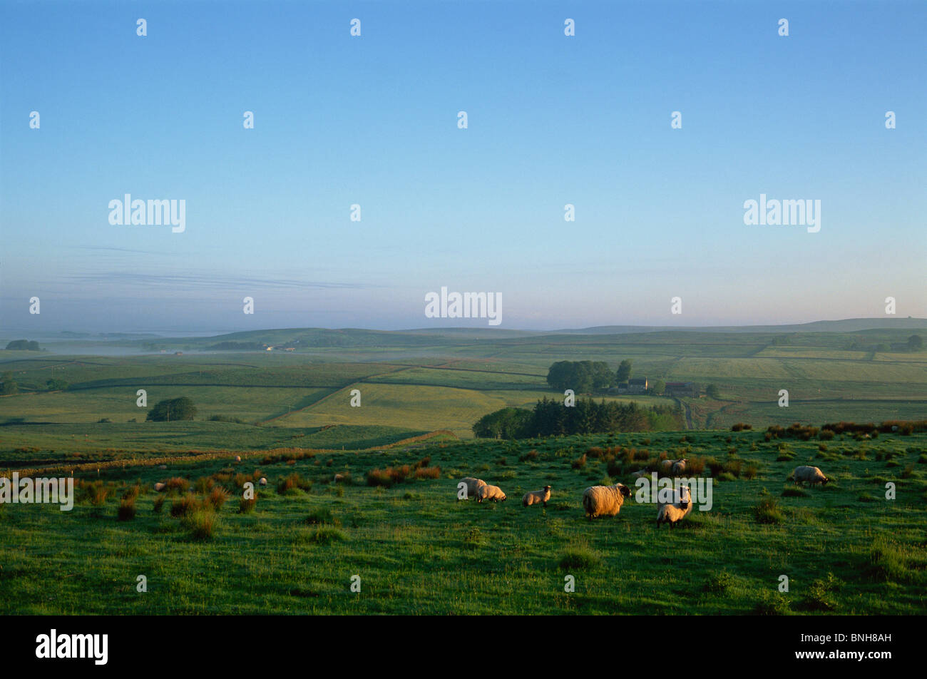 UK United Kingdom Great Britain England Northumbria Scenery Landscape ...