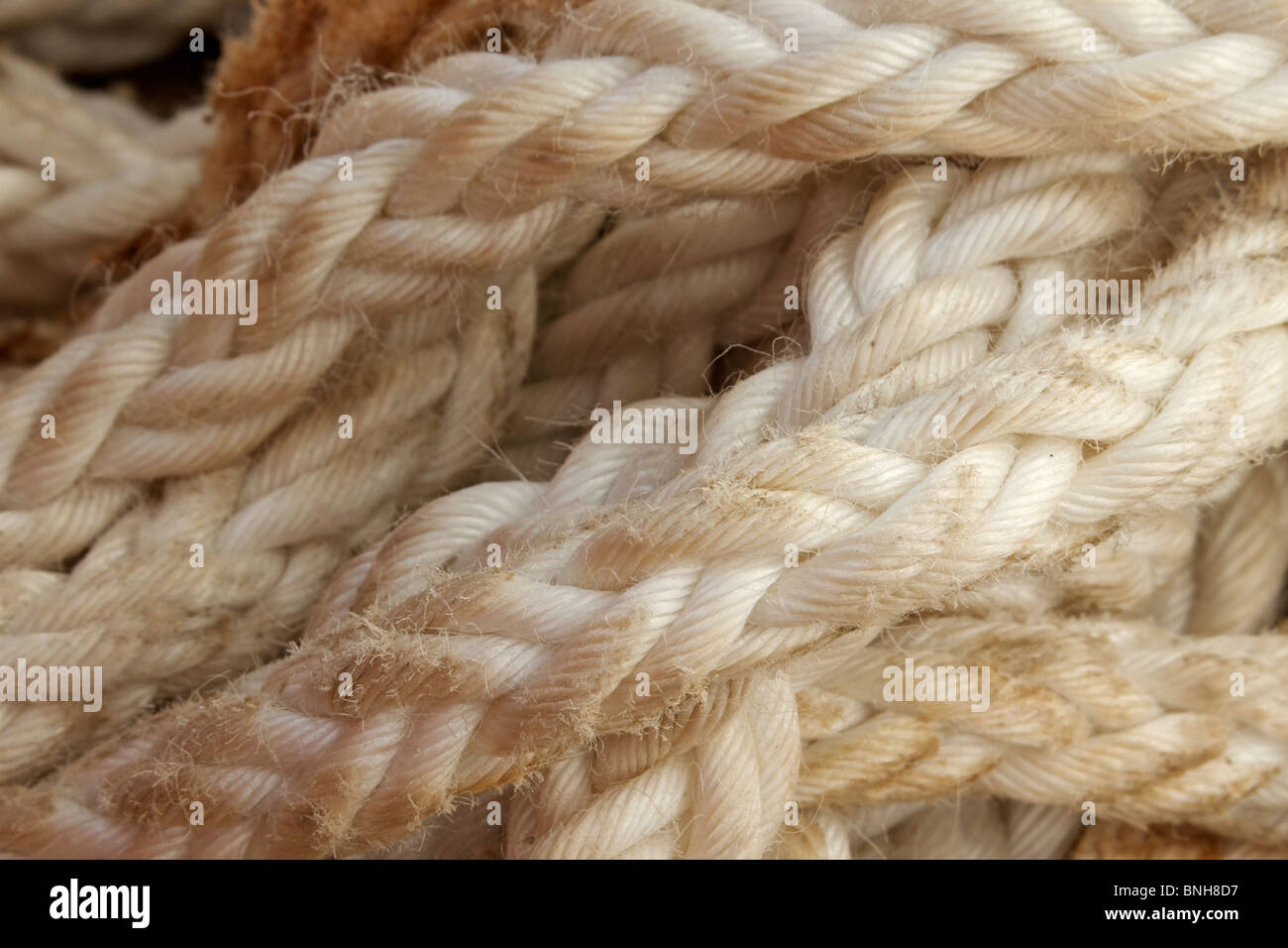 Ship's rope knot hi-res stock photography and images - Alamy