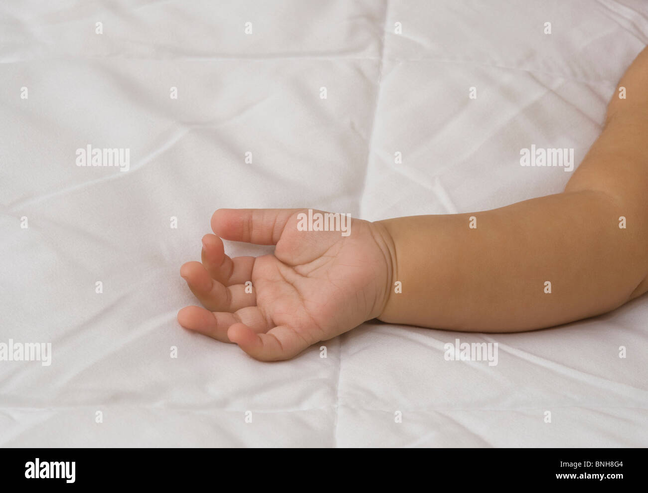 Close-up of a baby's hand Stock Photo - Alamy