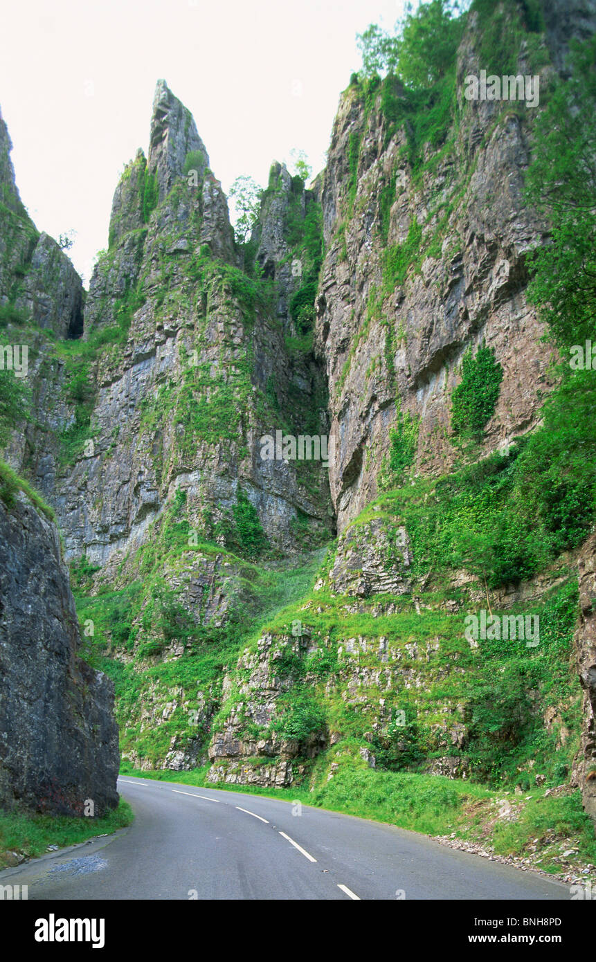 UK United Kingdom Great Britain England Somerset Cheddar Gorge Gorge ...