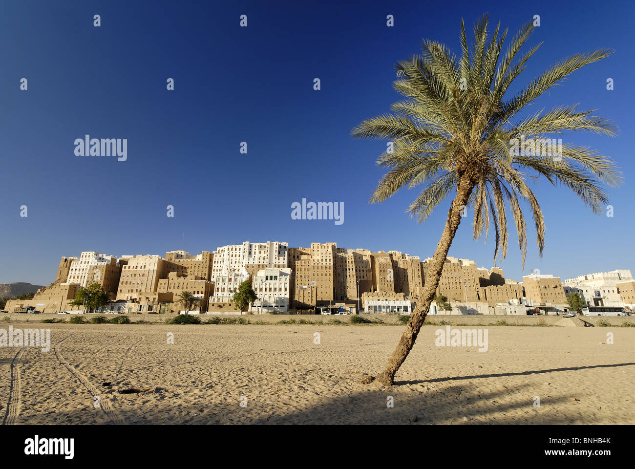 Yemen Old Town Shibam wadi Hadramaut Arabia Arabian architecture tree ...