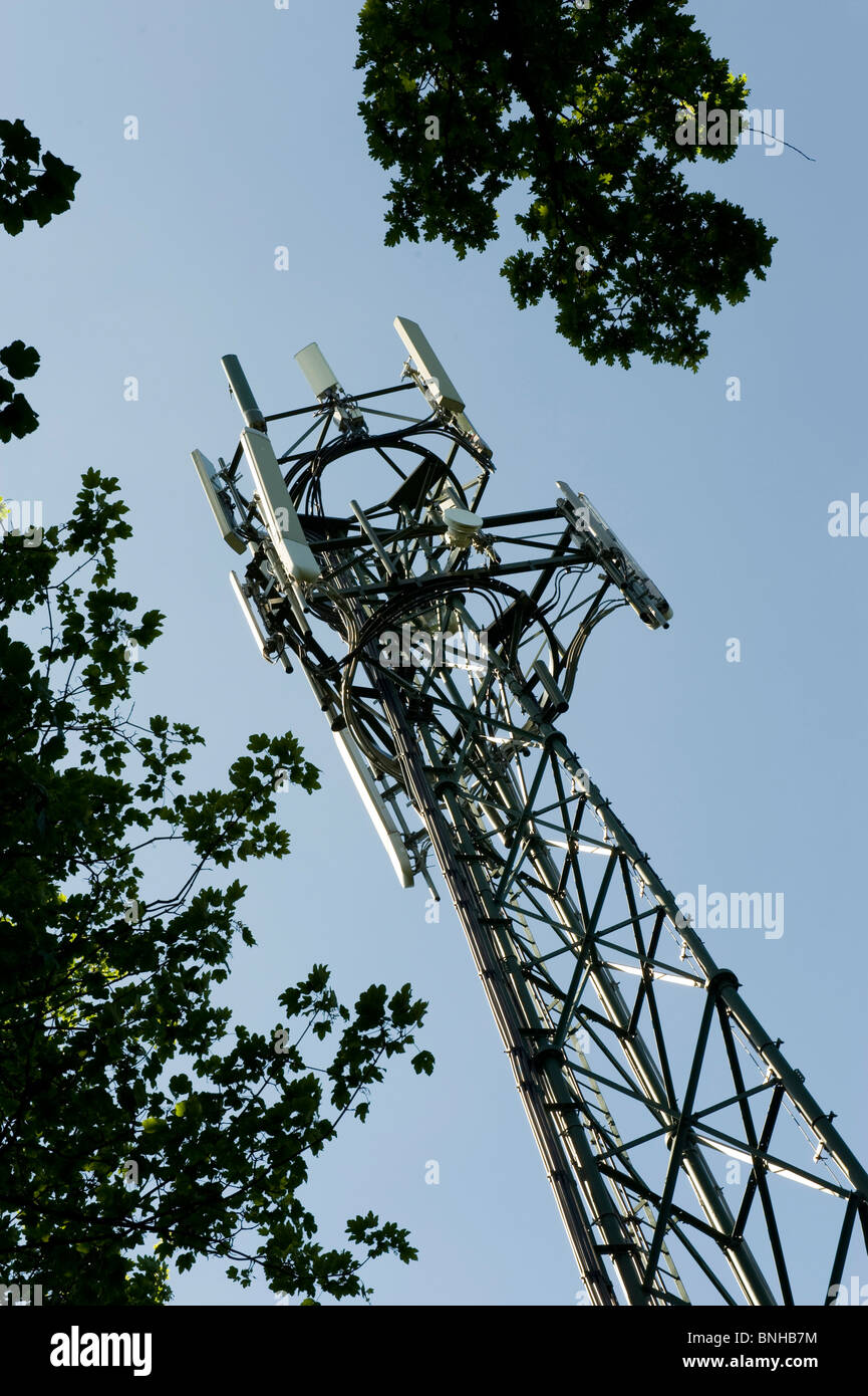 Mobile phone mast, in woodland, Kent Stock Photo - Alamy