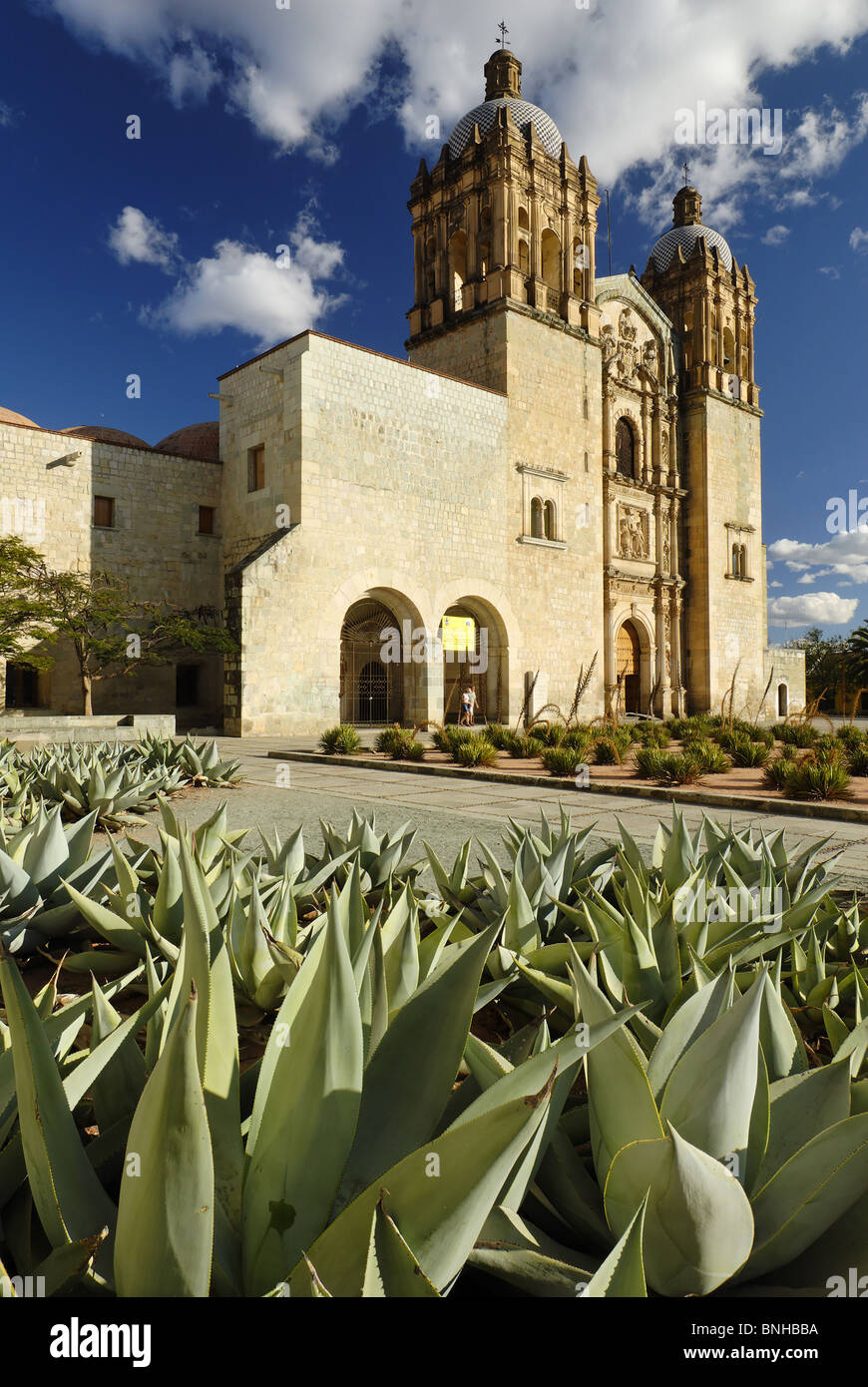 Church Santo Domingo Oaxaca Mexico Central America Agave old Town ...