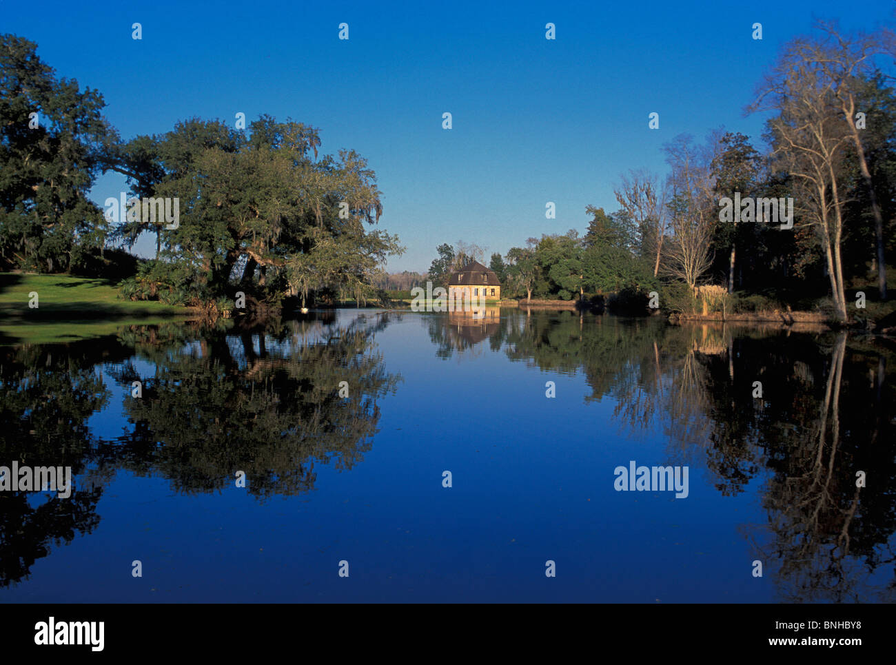 Charleston South Carolina Middleton Place High Resolution Stock ...