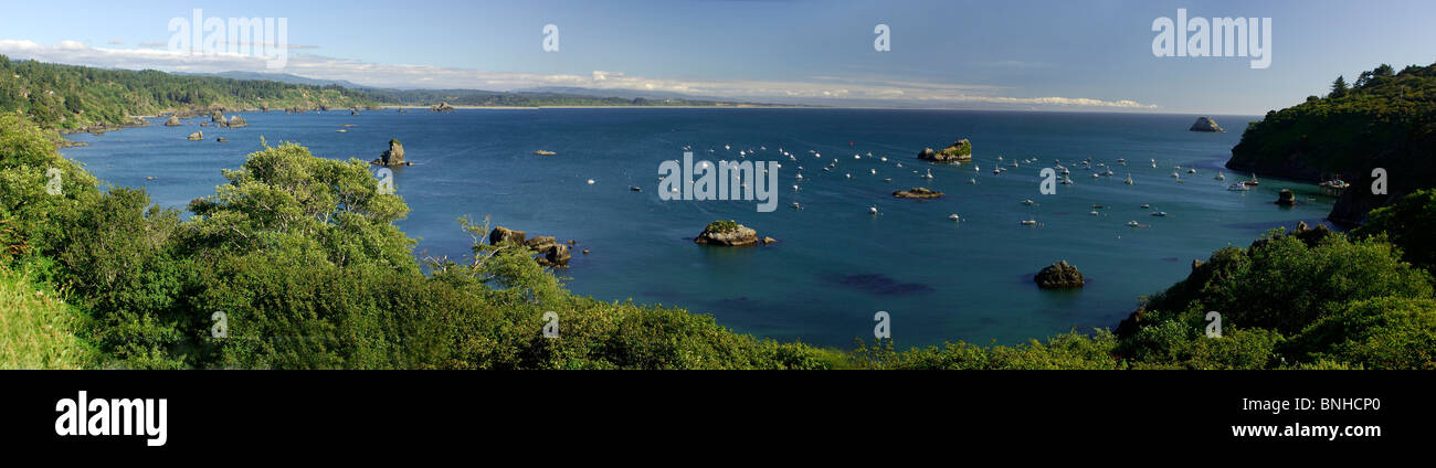 Usa Trinidad California Panoramic View Bay Coast Nature Landscape ...