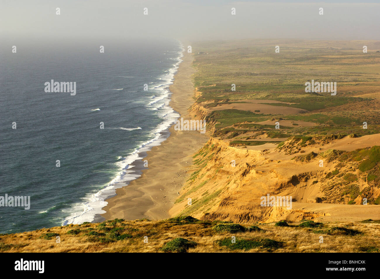 Usa Point Reyes Station California Beach At Point Reyes National ...