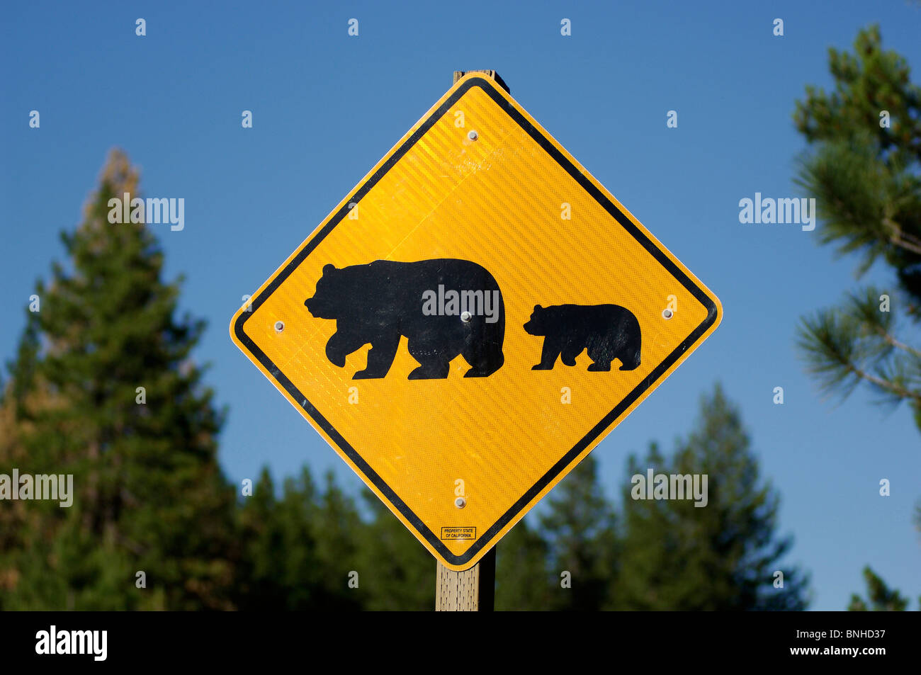 Usa Tahoe City California Street Warning Sign Danger Attention Bears ...