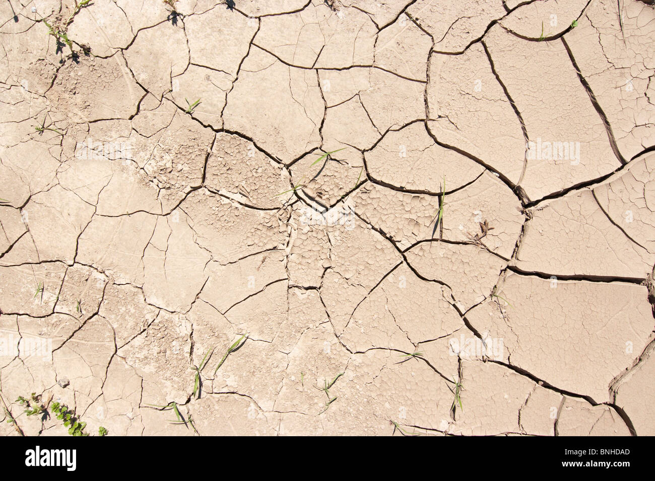 cracked ground - dry season Stock Photo - Alamy