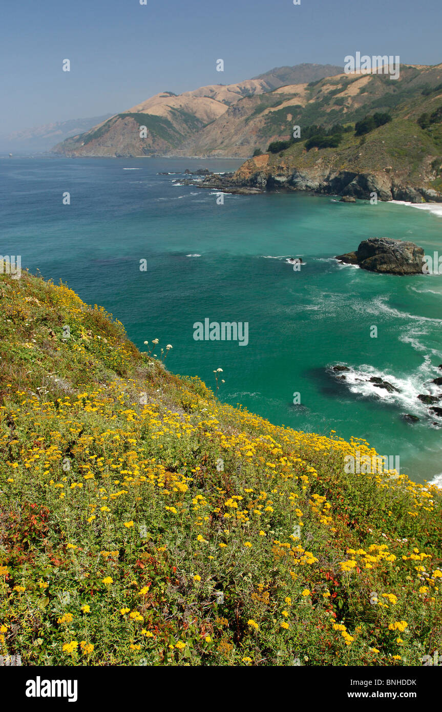 Usa California Big Sur Coast Highway 1 Cabrillo Highway South Of ...