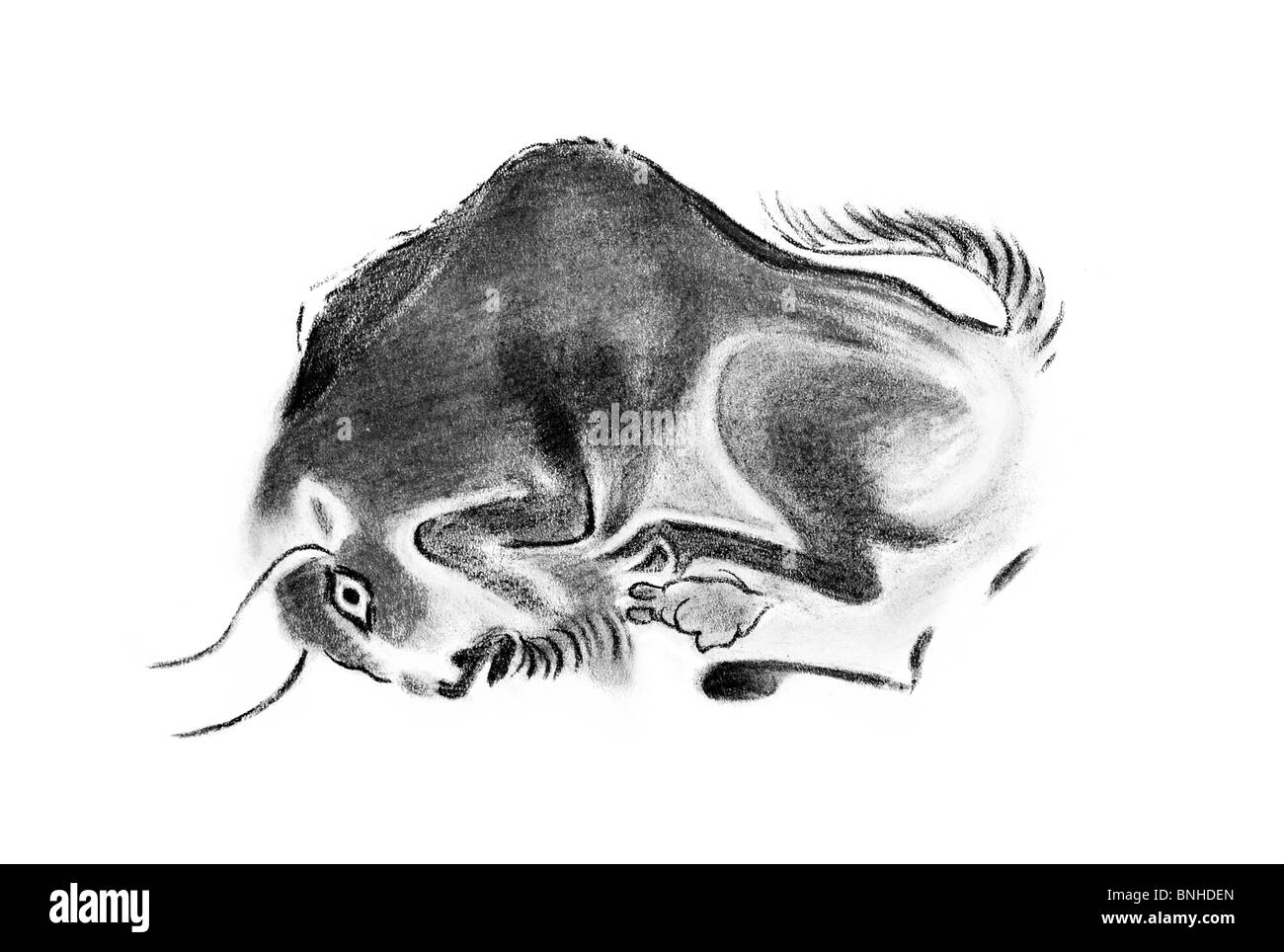 Prehistoric animal bull cave painting hi-res stock photography and ...