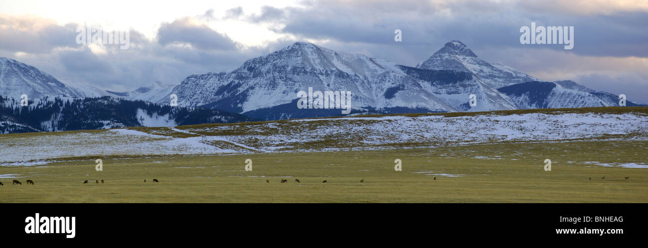 Canada Lethbridge Alberta Rocky Mountains Winter Near Pincher Creek ...
