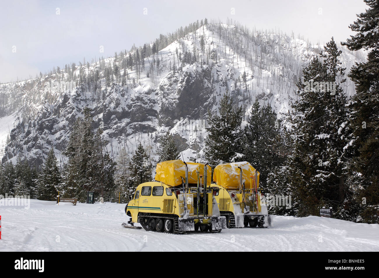 Usa Wyoming Yellowstone National Park Winter Snow Coach Vehicle ...