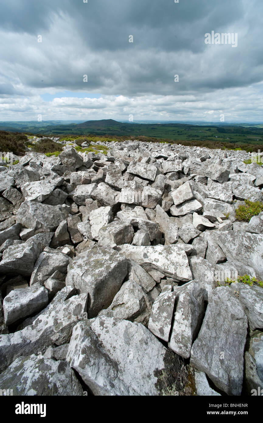Quartzite rock on summit of the Stiperstones, Shropshire, England Stock ...