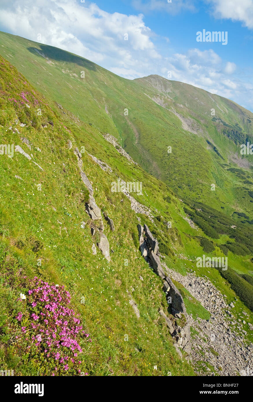 Precipitous slope hi-res stock photography and images - Alamy