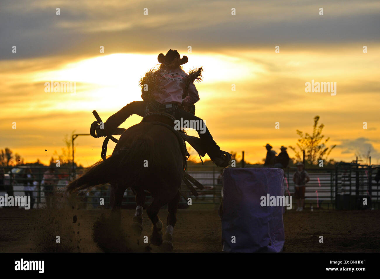 A rear view of a rodeo barrel racer Stock Photo - Alamy