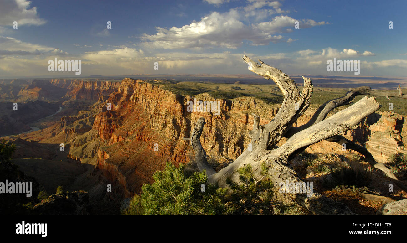 Usa Arizona Desert View At Watch Tower Grand Canyon National Park ...