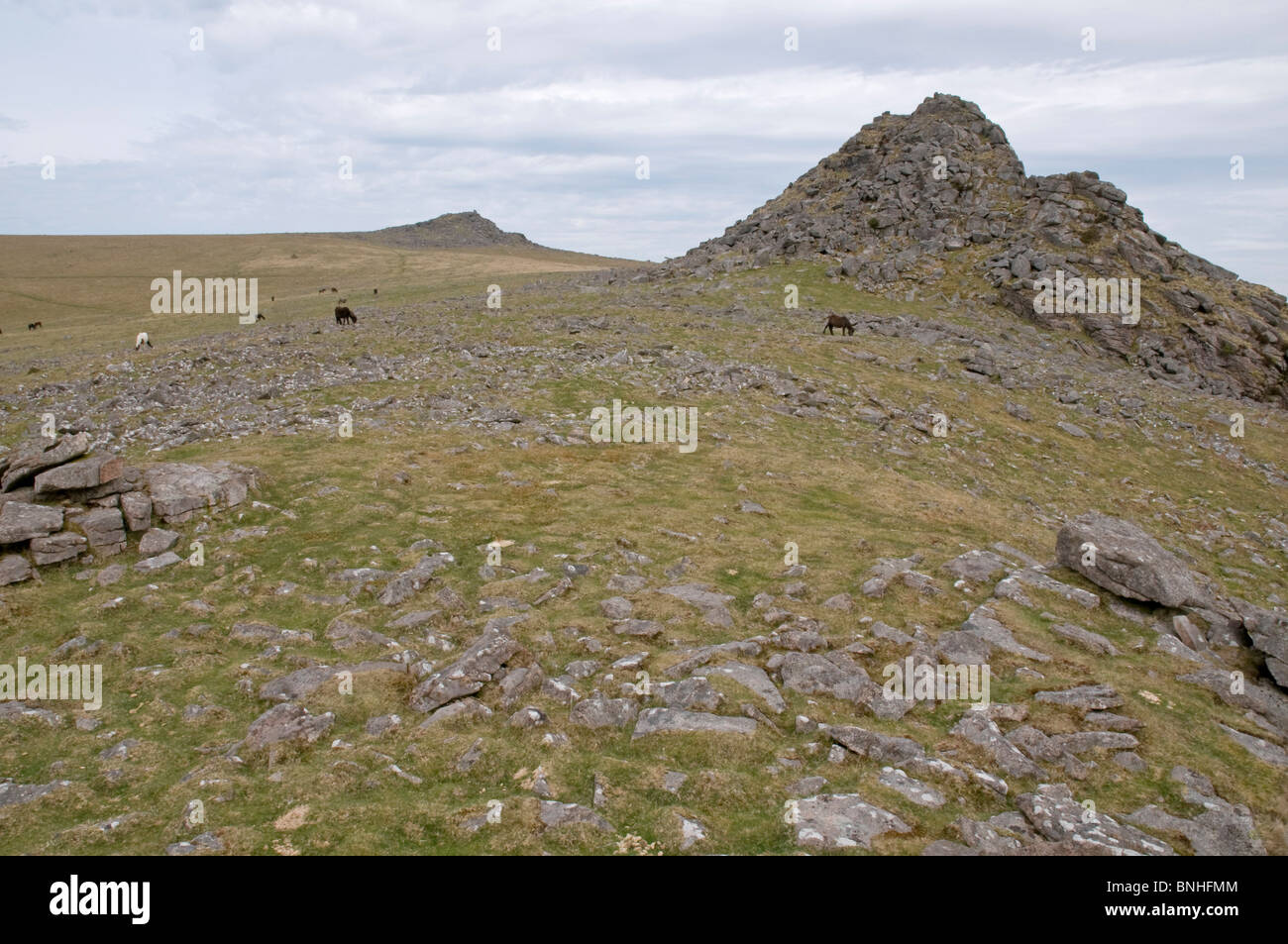 Leather Tor on the western side of Dartmoor, with Sharpitor the more ...