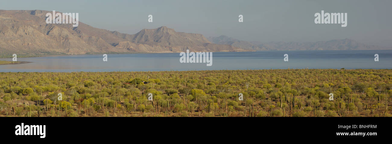 Mexico mulege baja california sur hi-res stock photography and images ...
