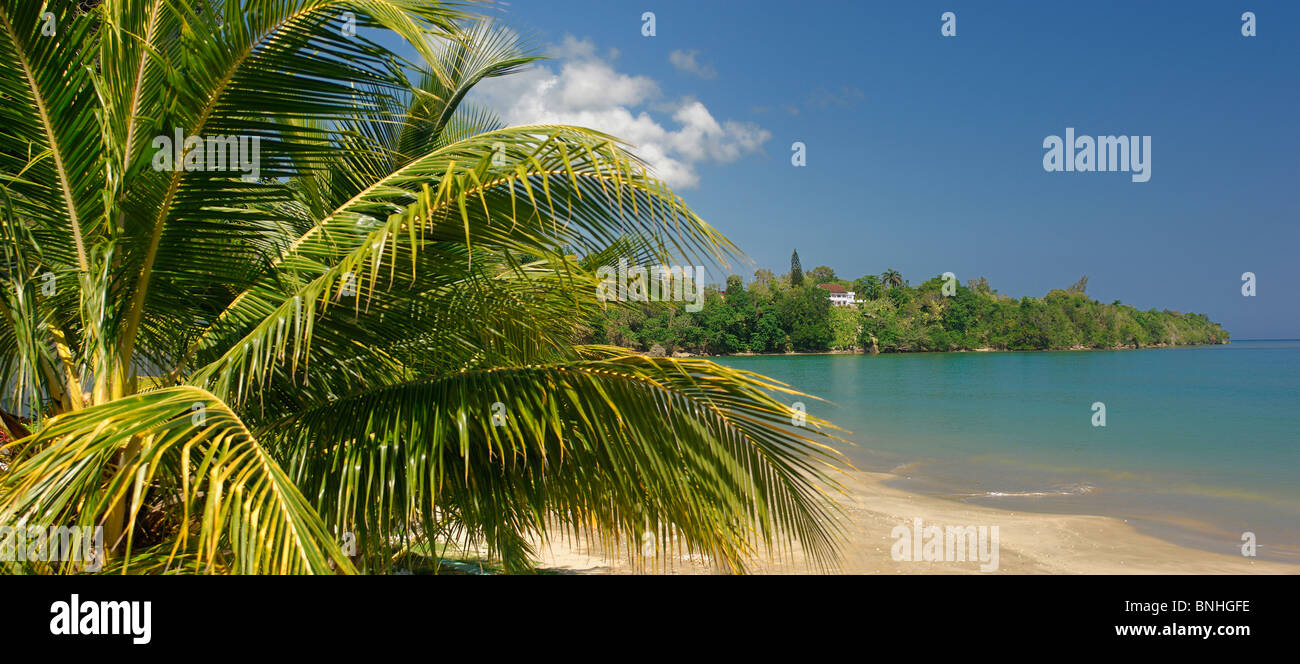 Caribbean Ocho Rios Jamaica At Golden Seas Beach Resort Landscape Palm ...