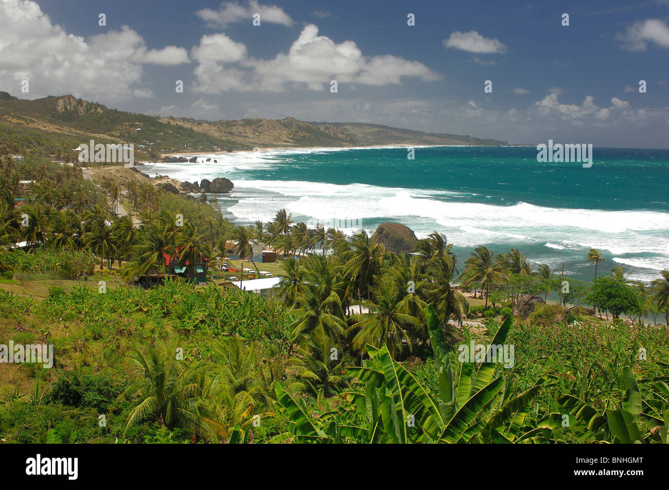 Caribbean Barbados East Coast Shore Sea Ocean Landscape Scenery Palm ...