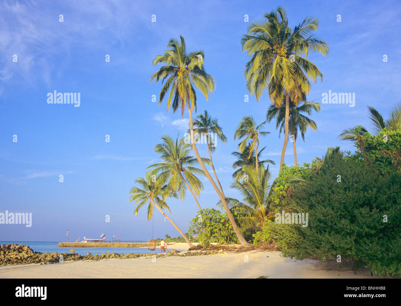 Maldives Indian Ocean South Ari Atoll palmtrees Ari Beach island resort ...