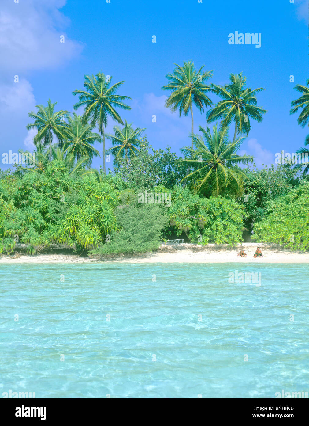 Maldives Indian Ocean Ari Atoll palm trees tourists Ari Beach island ...