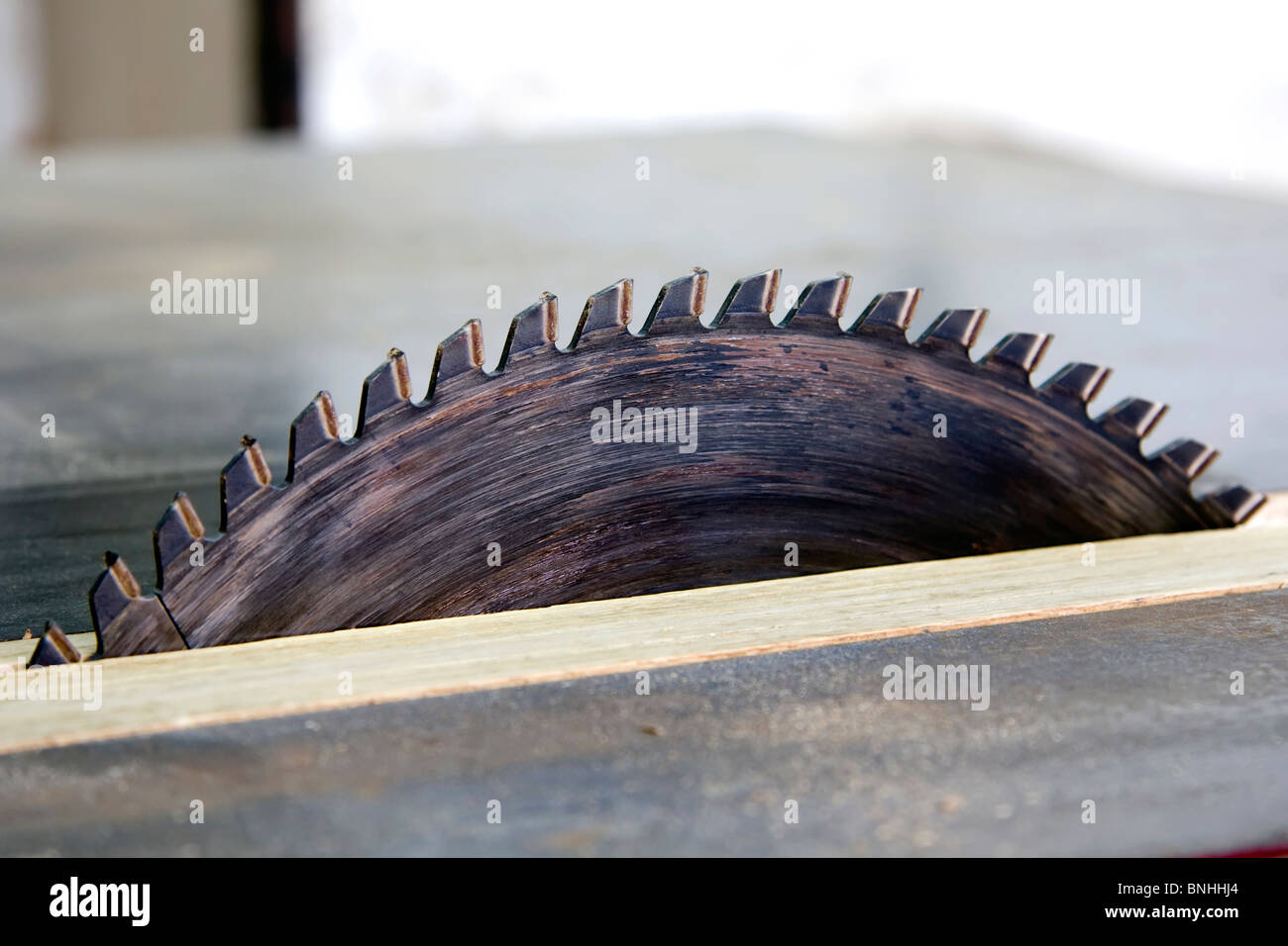 Buzz saw hi-res stock photography and images - Alamy