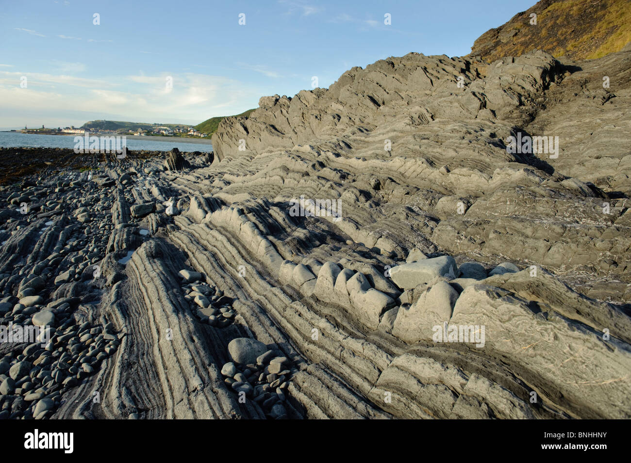 rocks of Silurian age (Llandovery) forming a well-developed turbidite ...