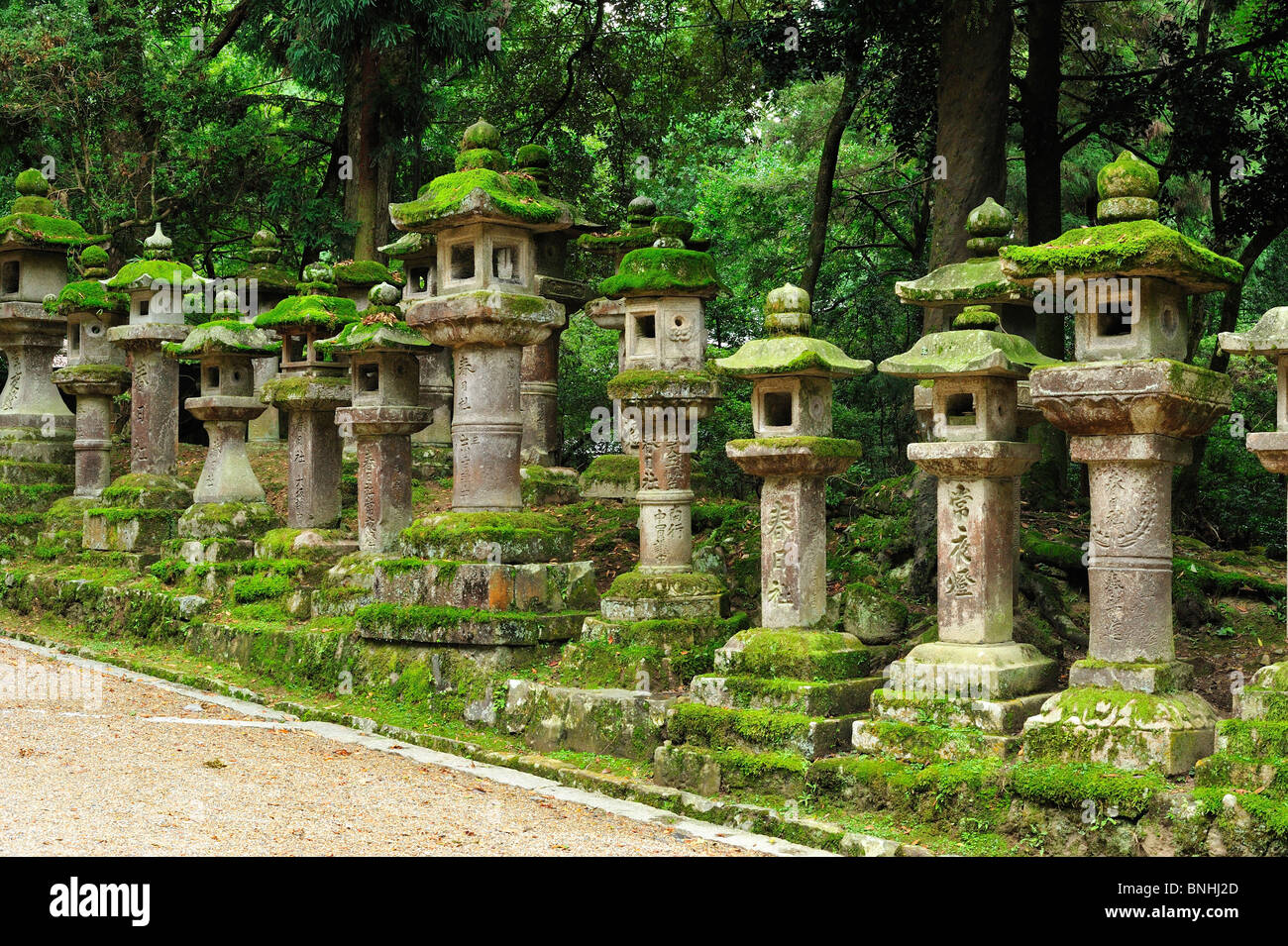 Nara koen park hi-res stock photography and images - Alamy