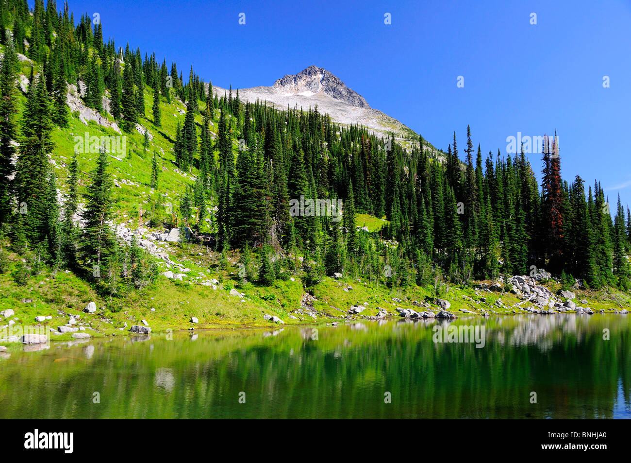 Canada Keen Lake Kokanee Glacier Provincial Park Nelson British ...
