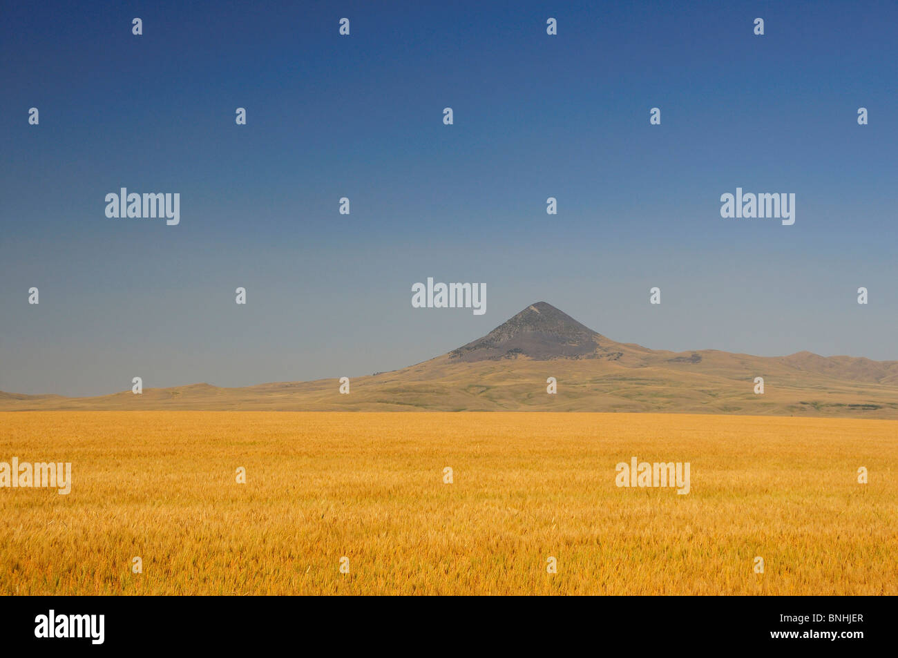 Sweetgrass hills hi-res stock photography and images - Alamy