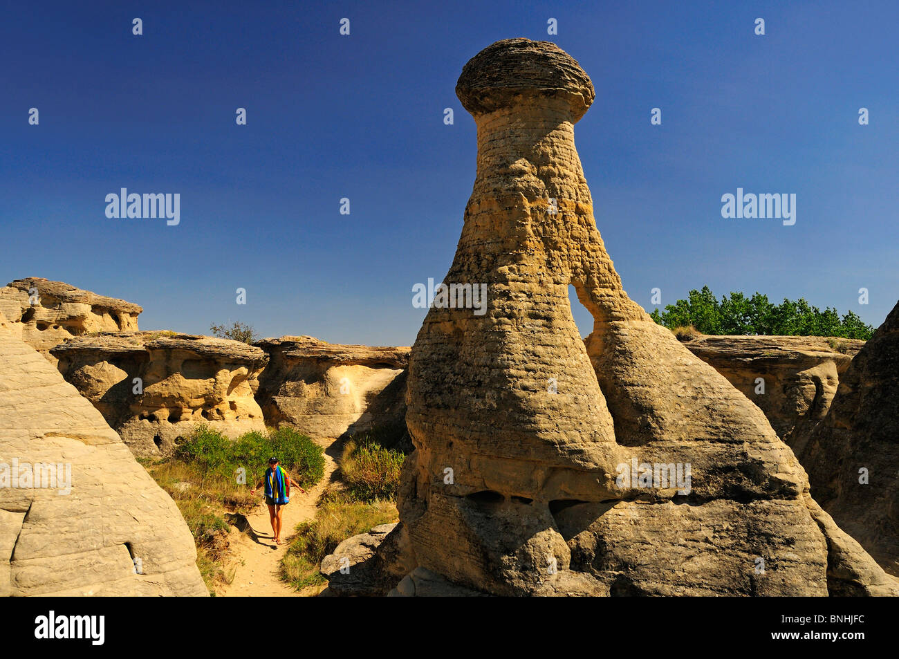 Canada Hoodoos Writing on Stone Provincial Park Alberta province rock ...