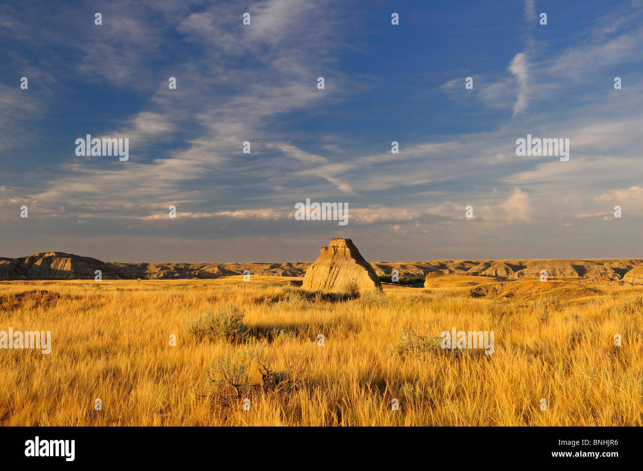 Canada Badlands at Dinosaur Provincial Park Alberta province prairie ...