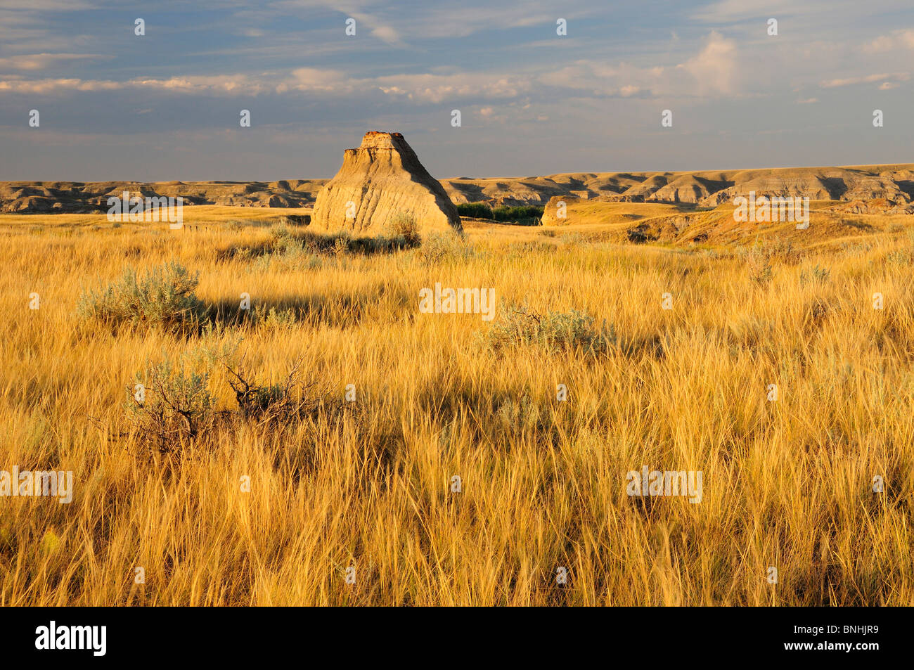 Canada Badlands at Dinosaur Provincial Park Alberta province prairie ...